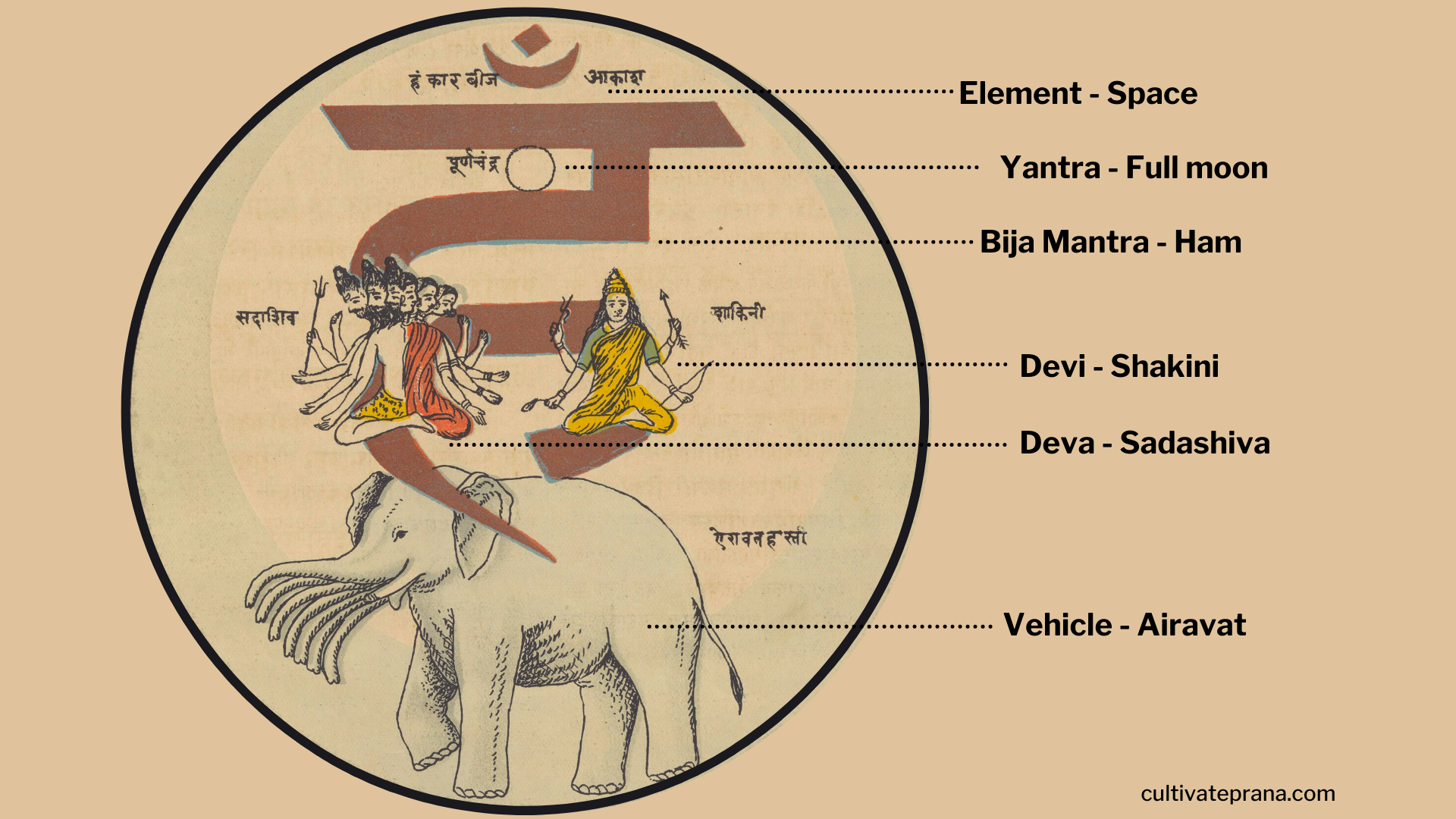 Vishuddha Chakra: The abode of speech, health and clairvoyance
