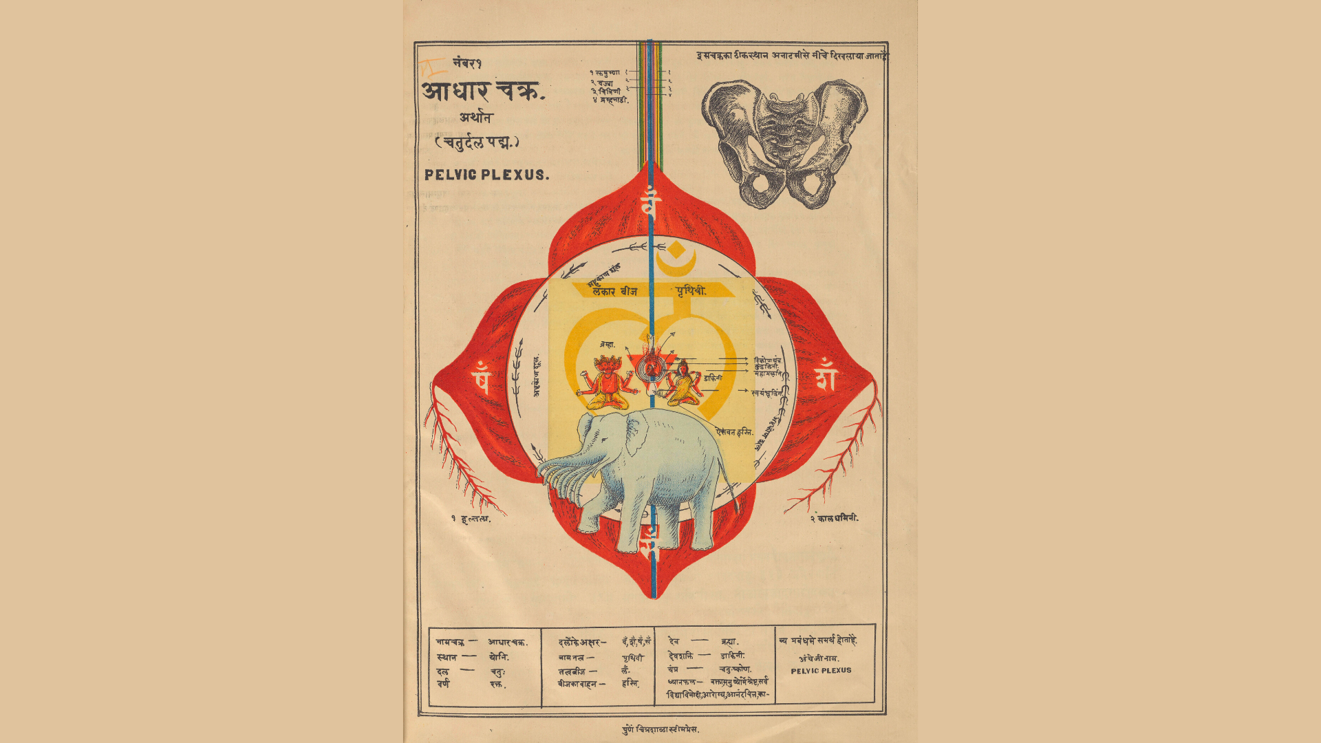 An old yoga text helped me discover what CHAKRAS really are and why ...