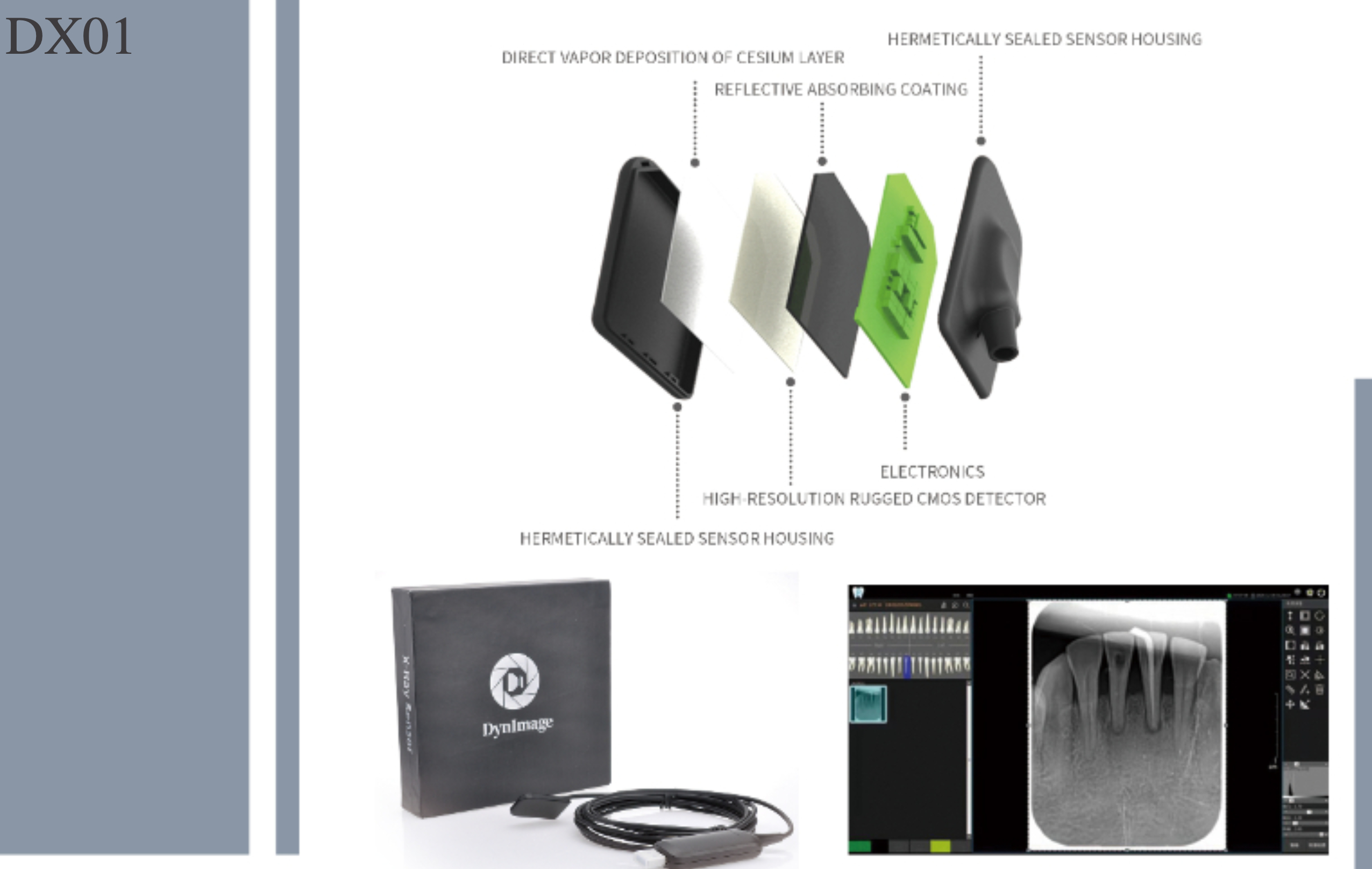 Digital Intra-oral X-Ray Sensors | Dynair