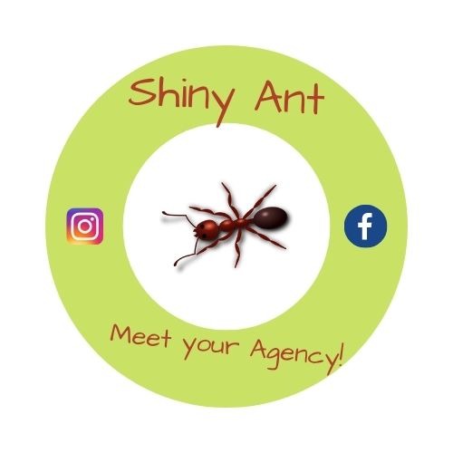 Shiny Ant