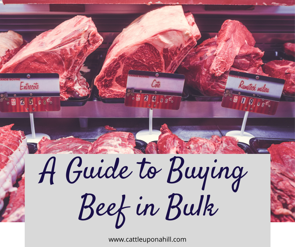 How to Buy Bulk Beef