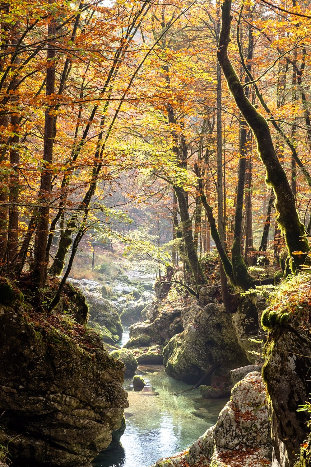 Landscape Portfolio - Matthew Storer Photography