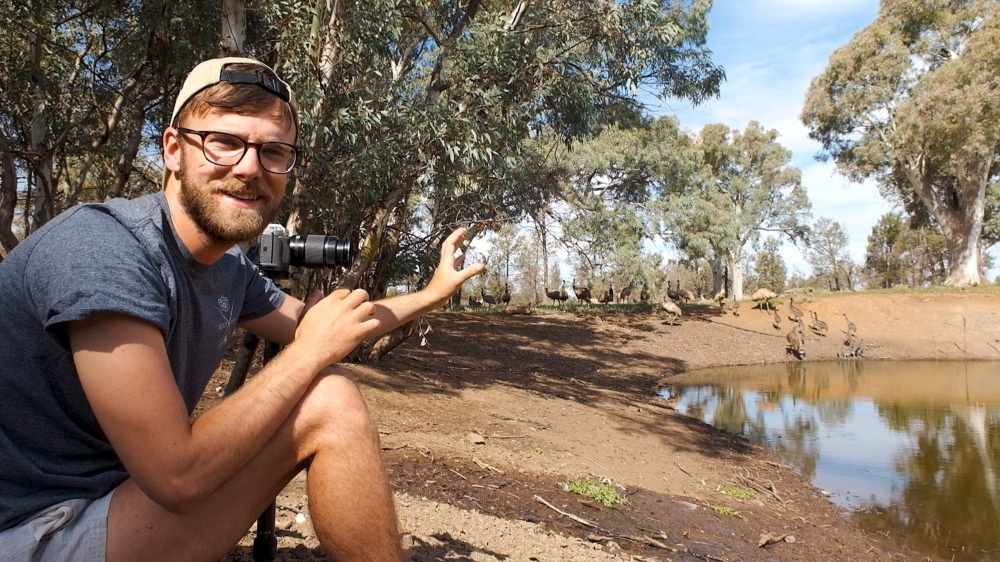 Wildlife Photography in Wilpena Pound, Flinders Ranges - South Australia.