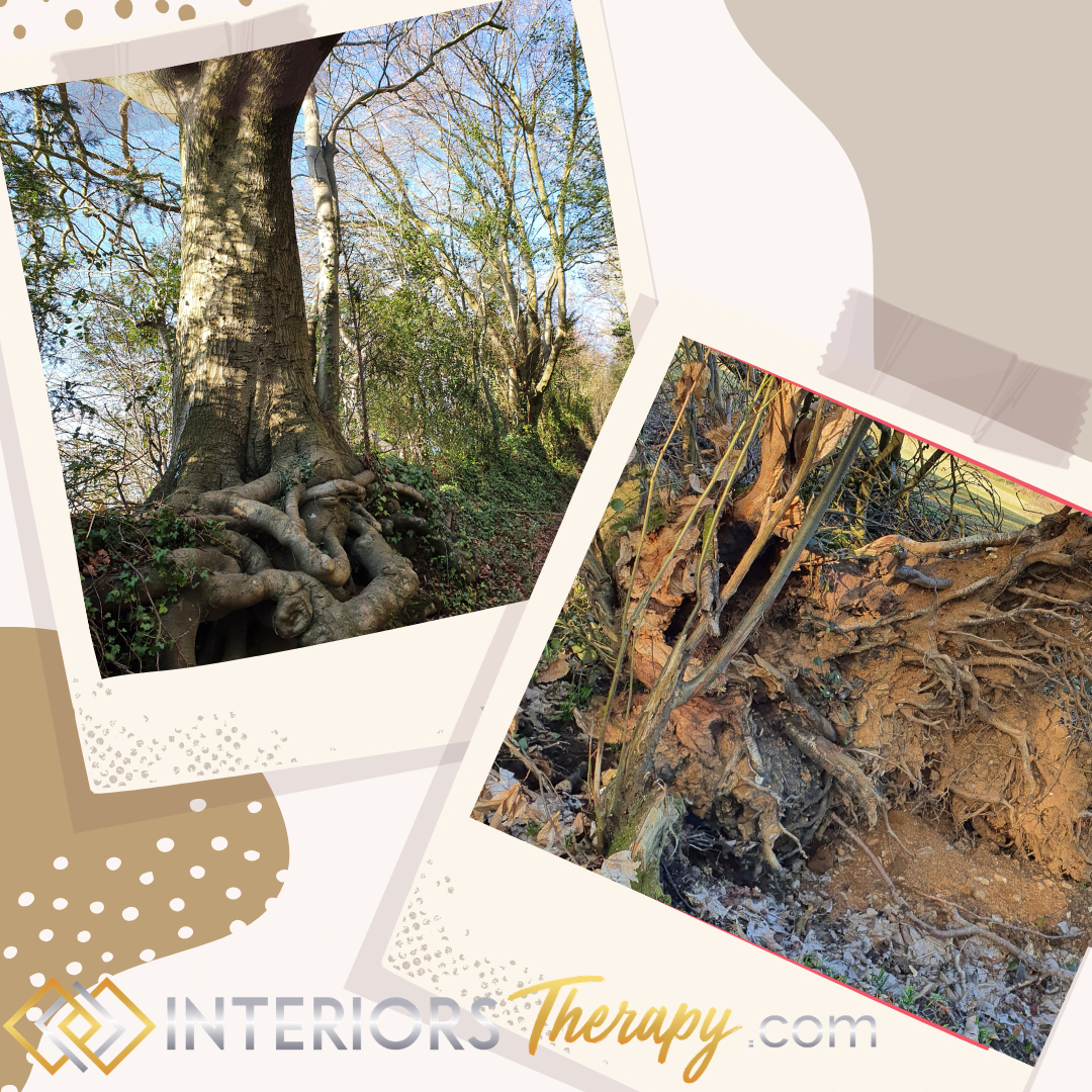 Why firm foundations matter