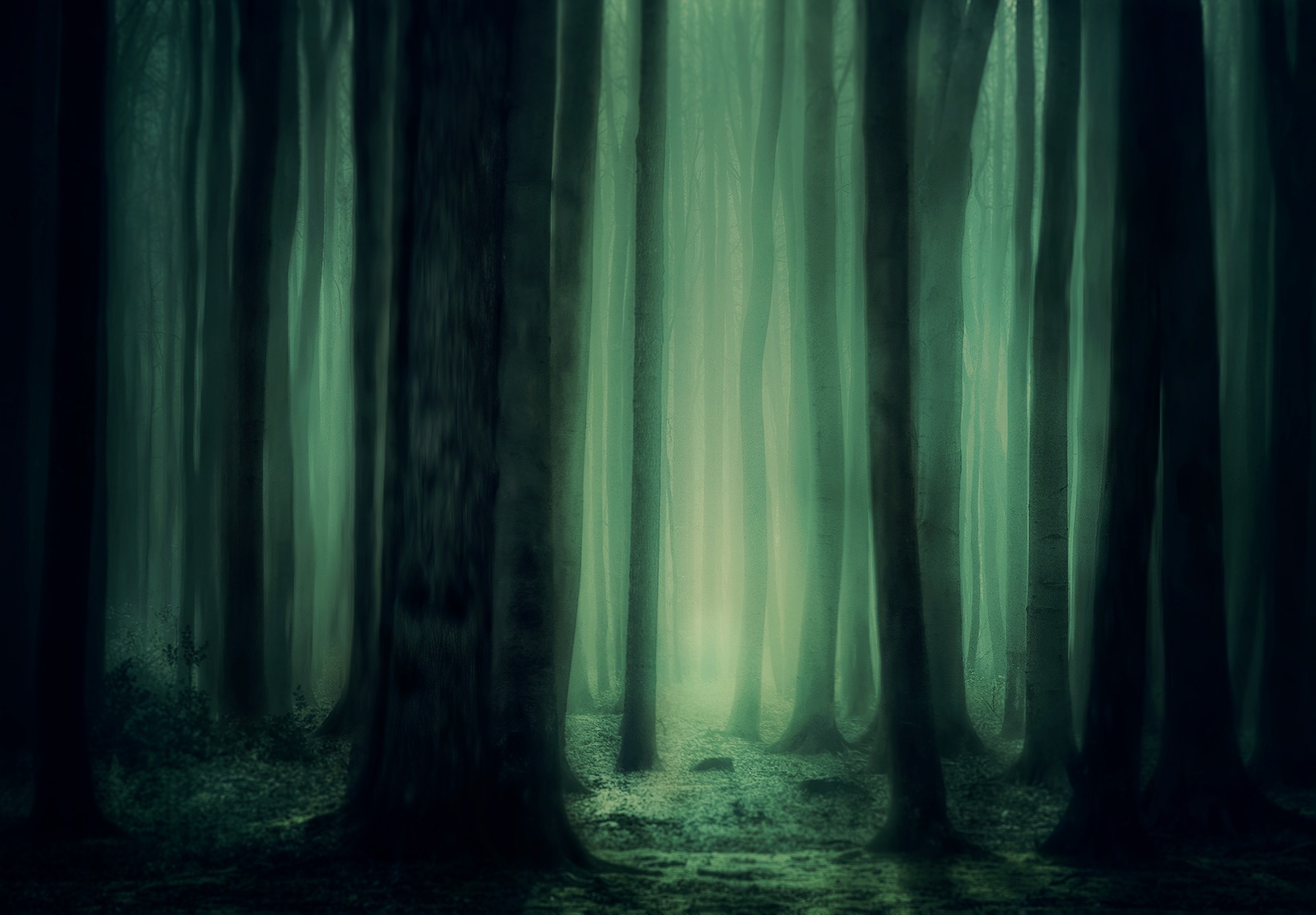 Learn and Craft - What Lives on the Forest Floor