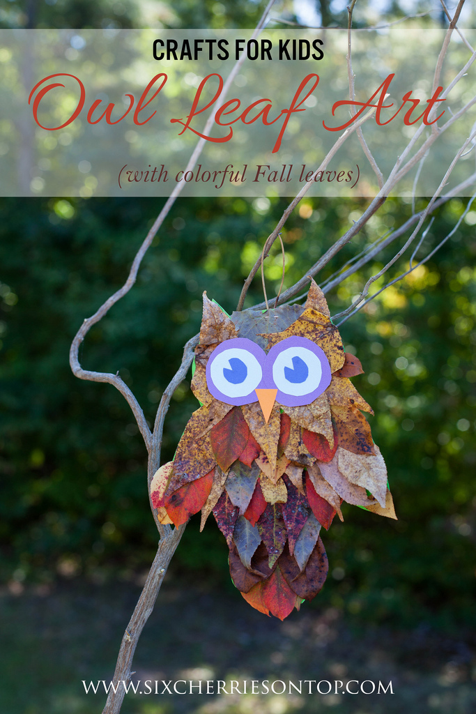 7 Easy Owl Crafts for Kids and Adults