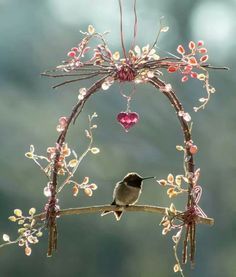 How to Attract Hummingbirds to Your Backyard