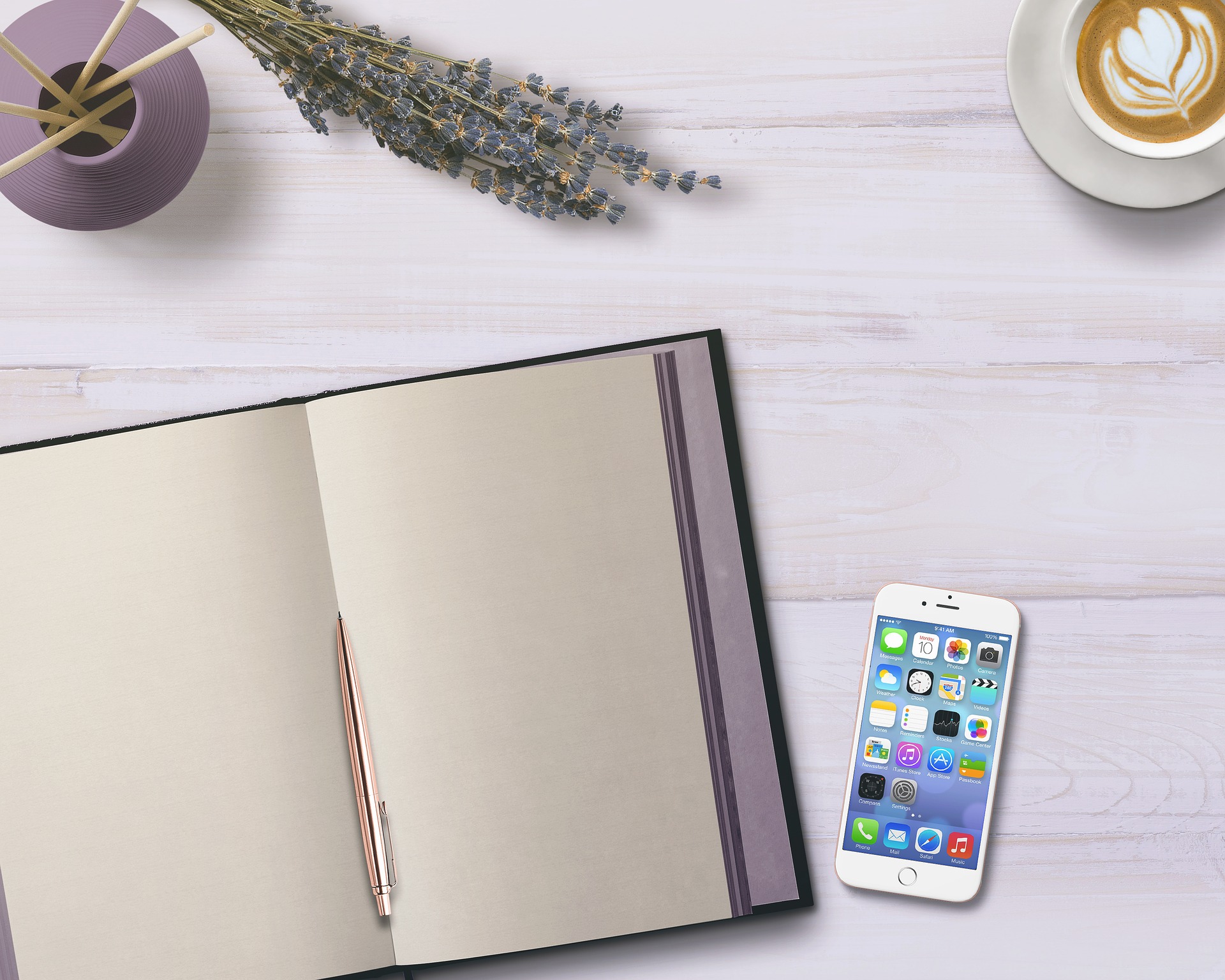 Nature Journaling in the 21st Century