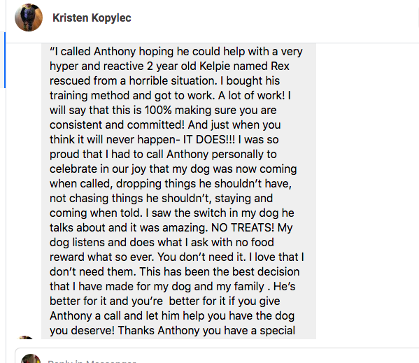 Treatless Dog Training Secrets by Anthony Louis