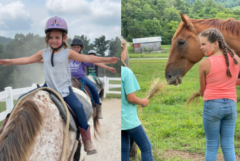 Horse Camp/Lessons