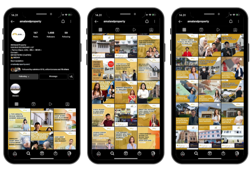 Case Study - Amaland Property | Sky Sea Techmedia