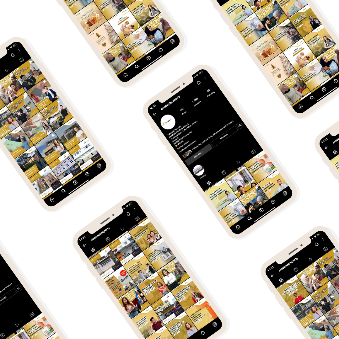 Case Study - Amaland Property | Sky Sea Techmedia
